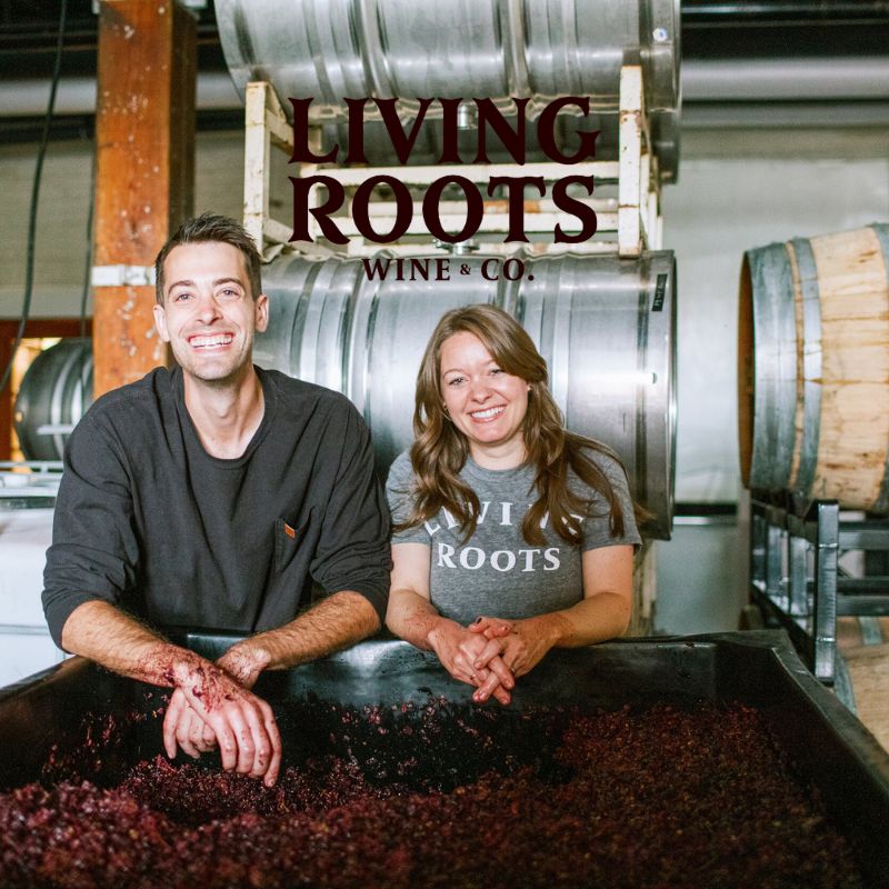 Retail Wine Outlet in Sydney | Best Cellars